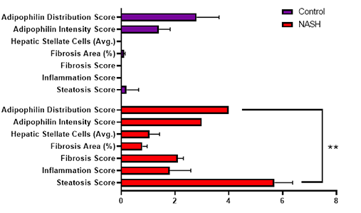 Diet Induced MASH B6 | Taconic Biosciences