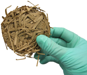 The Benefits of Environmental Enrichment for Laboratory Mice | Taconic ...