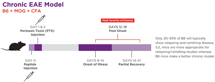 Generating Eae Mouse Models Of Multiple Sclerosis Taconic Biosciences
