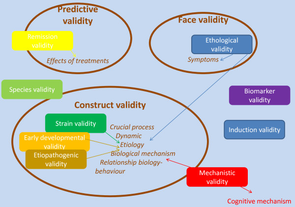 How Are Animal Models Validated? | Taconic Biosciences