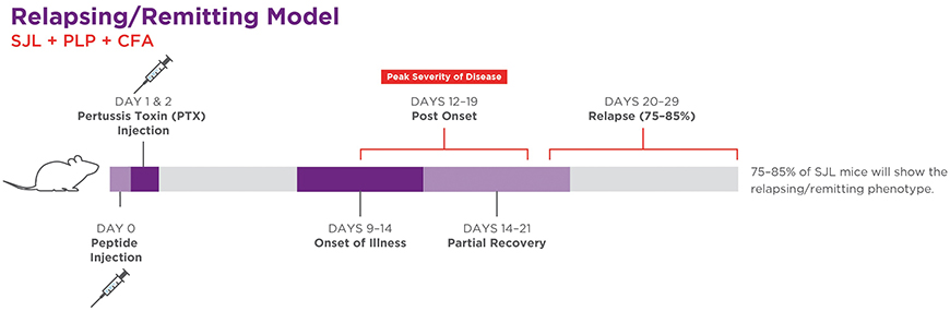 Generating Eae Mouse Models Of Multiple Sclerosis Taconic Biosciences